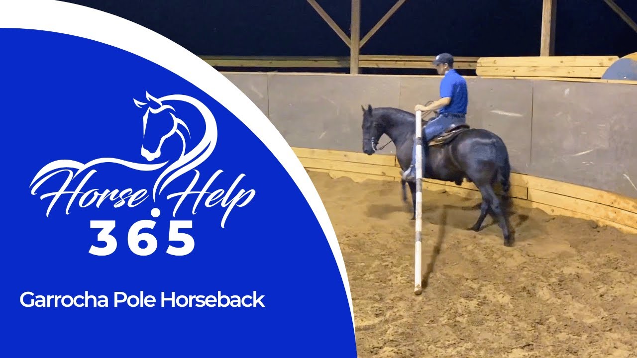 Garrocha Pole Horseback | Horse Help - Michael Gascon - YouTube