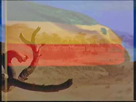 ETHIO SOMALI WAR -KARAMARA VICTORY - YouTube