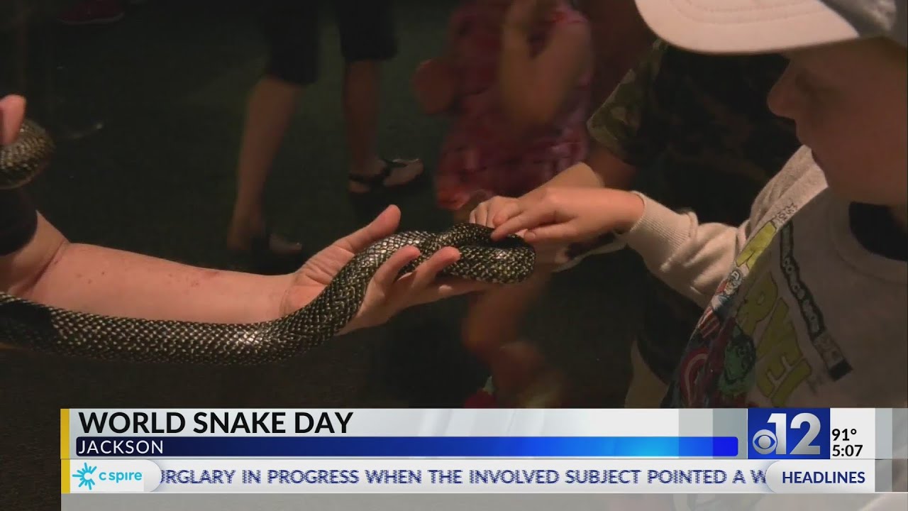 World Snake Day held at Mississippi Museum of Natural Science - YouTube