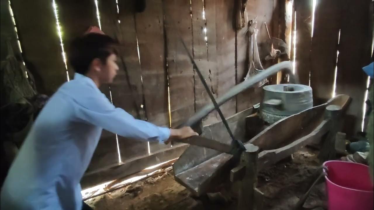 txooj Tub vwj mus txog peb cov hmoob tseem zom pob kws thiab muaj ib cov tub ntxhais tseem xyaum ...