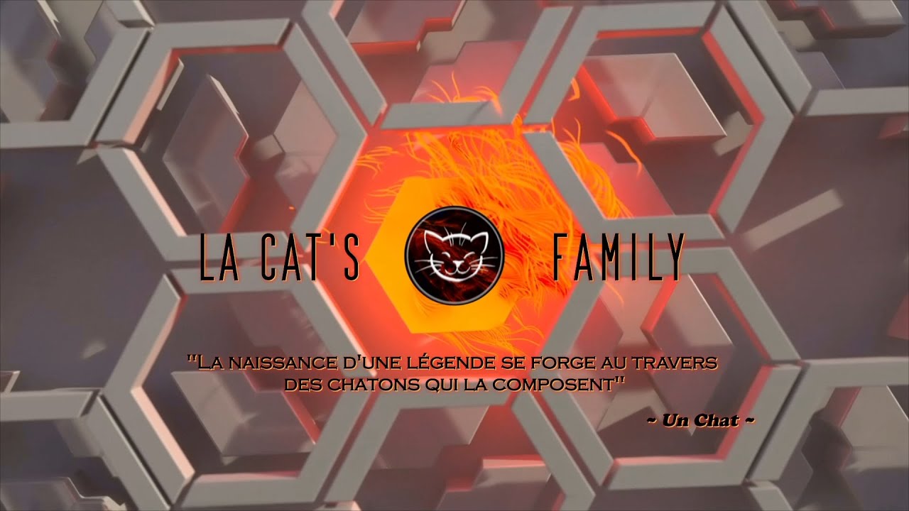 Cat's Family - Tamriel Together (Vidéo Officielle) - YouTube