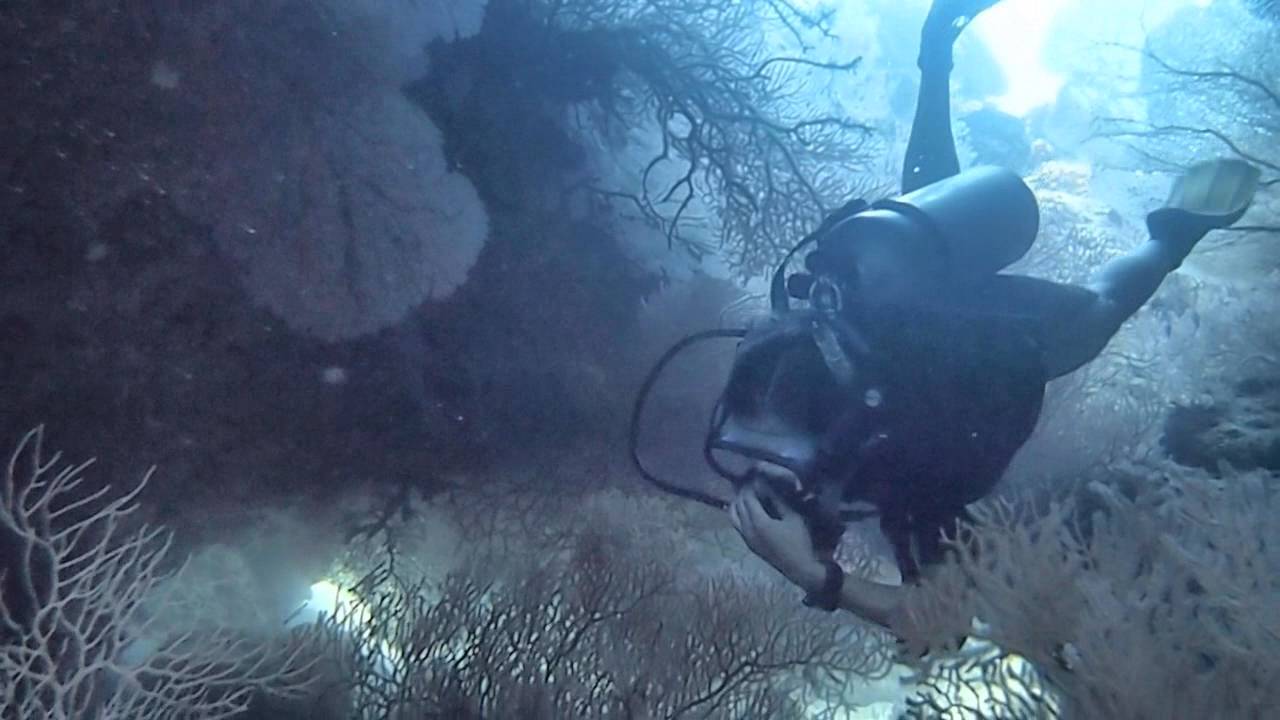 Moso Caves Dive @ Tranquillity Island Resort - YouTube