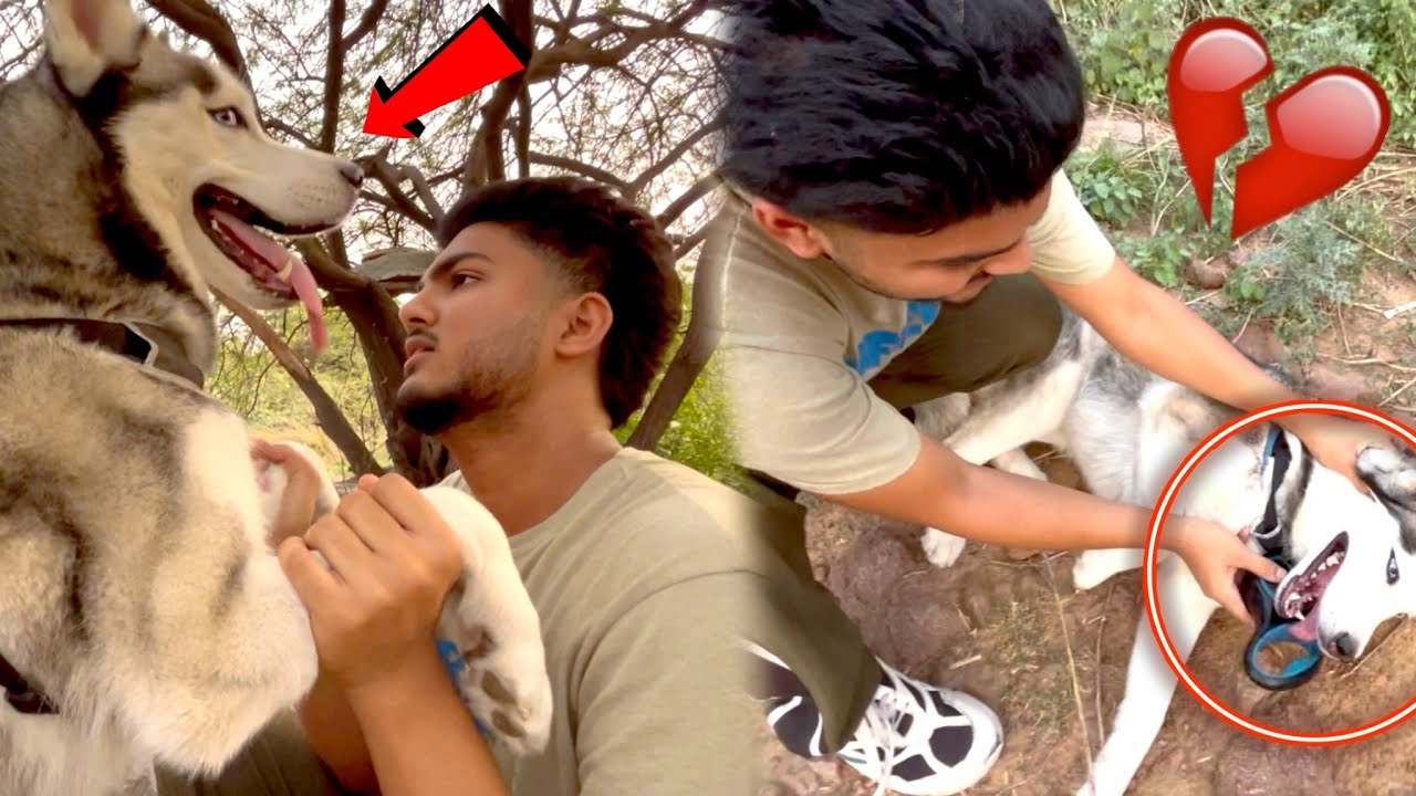 Finally Coco Mil Gyi Jungle Mein 😰 - YouTube