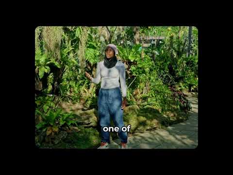 How The Hell Do I Color grade Intro filmed on FX30 #colorgrading