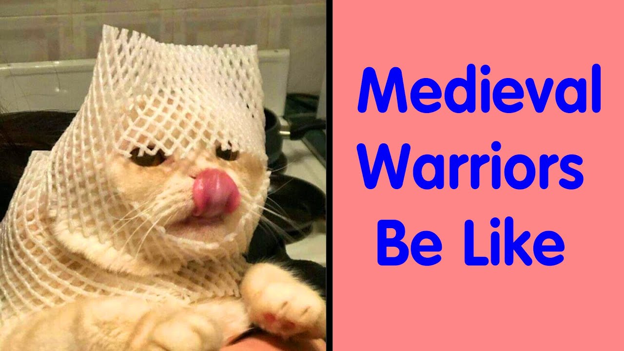 Hands-Down Funniest Pics Of Cats From The ‘Cat Virus.Exe’ Instagram ...