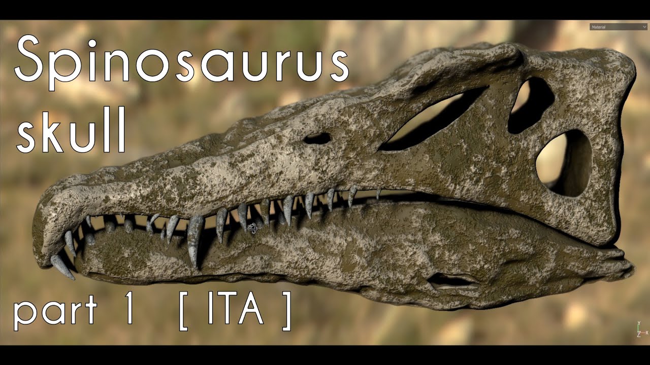 Reconstruction of Spinosaurus skull - part 1 MODELING - [ITA] - YouTube