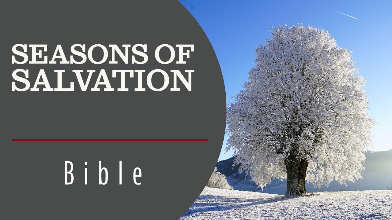 Inspirational Bible Quotes with Images of God's Creation - YouTube