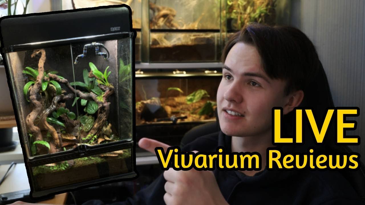 Reviewing Your Vivariums LIVE - YouTube