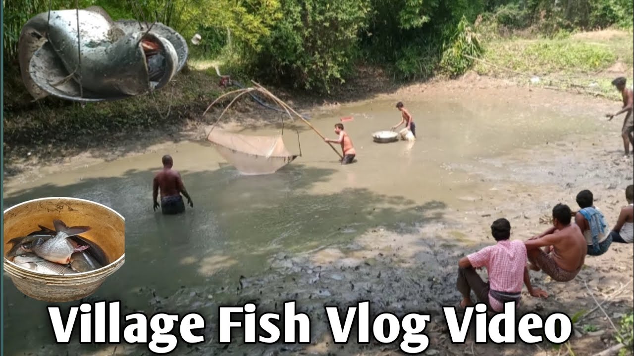Village Fishing | Traditional Fishing Techniques | Amazing Big Fishes ...