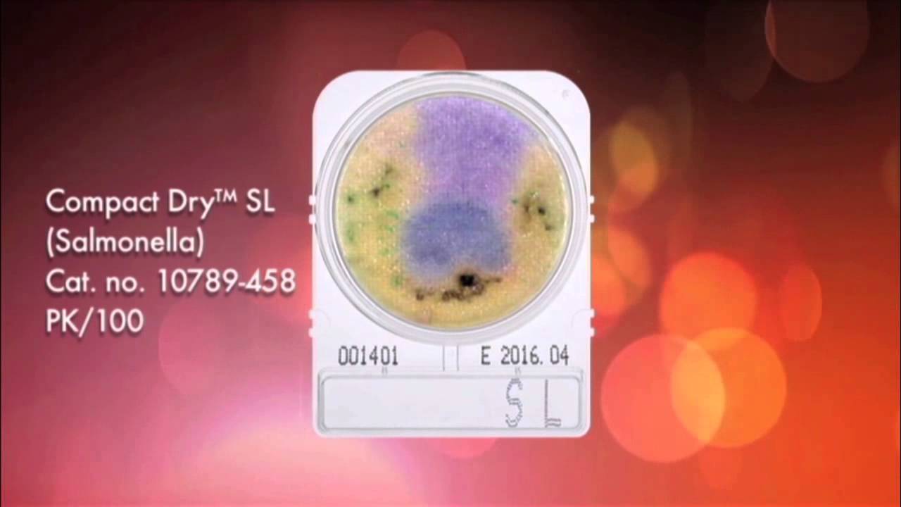 Compact Dry Demo VWR - YouTube