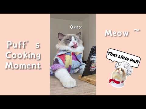 Puff's Cooking Moment | That Little Puff (June 20)