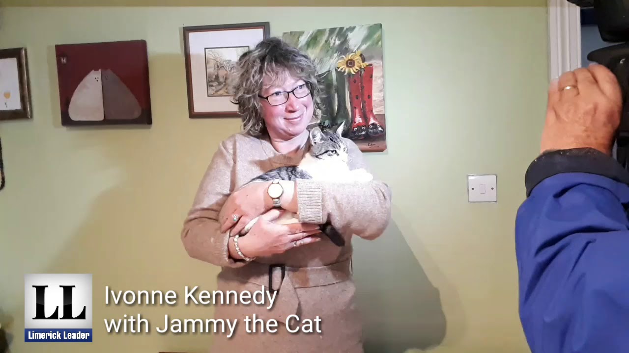 Meet Jammy the Cat! - YouTube