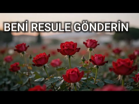 BENİ RESULE GÖNDERİN | OZAN BİRGÜL | İLAHİ 2026 YENİ ÇIKAN 