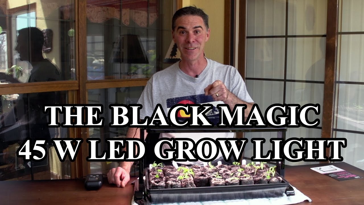 How To Use Black Magic LED Grow Light - YouTube