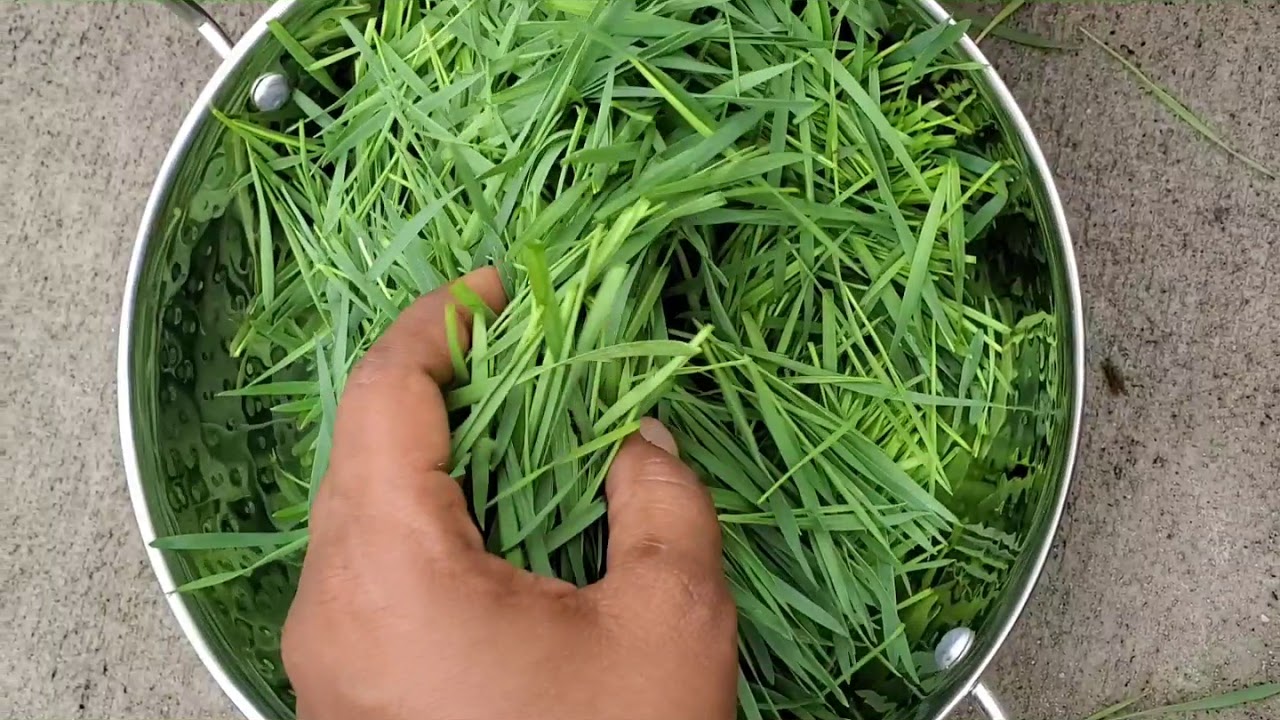 Godhuma Gaddi rasam (TELUGU) - YouTube