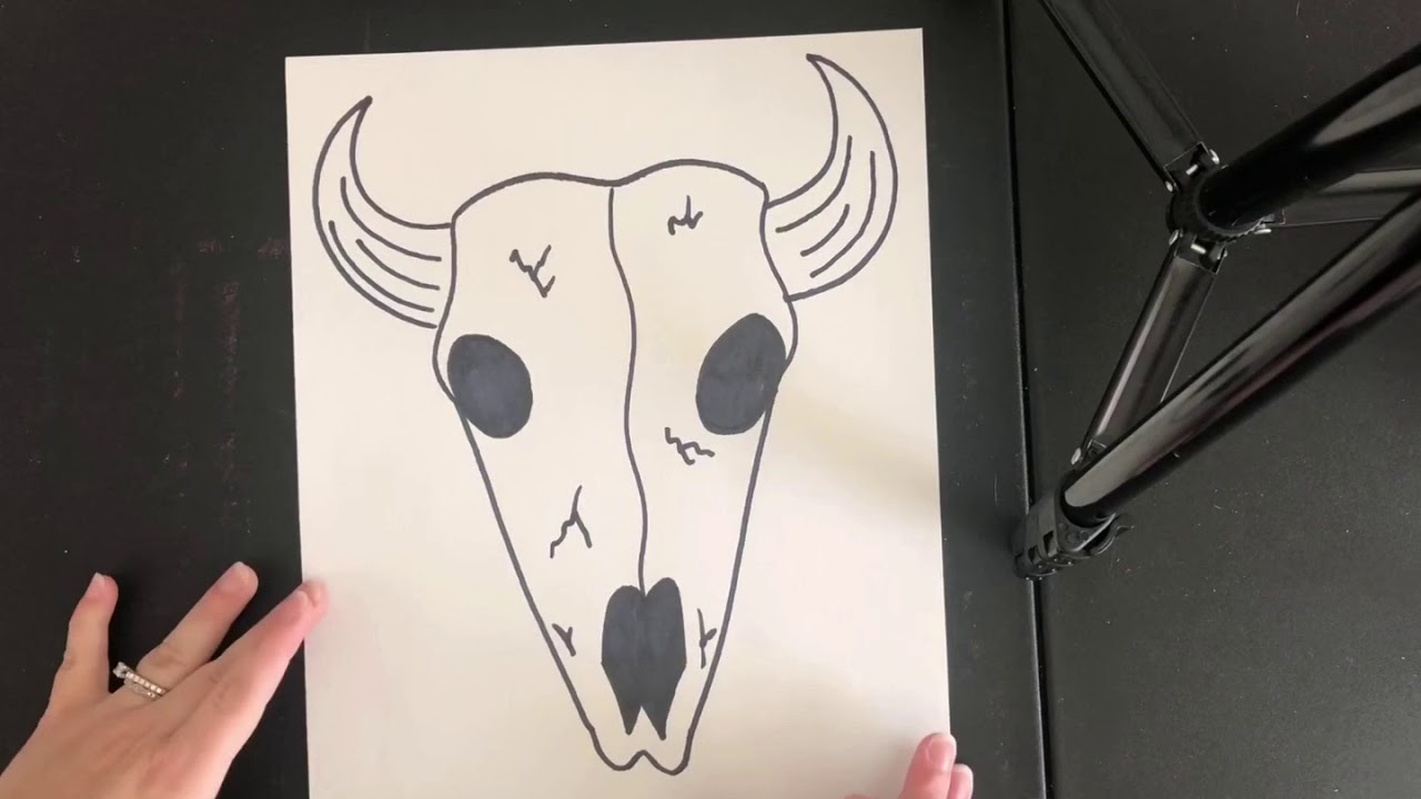 How to Draw a Cow Skull - YouTube