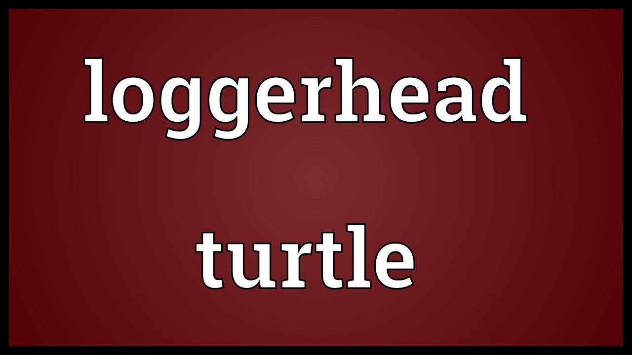 Loggerhead turtle Meaning - YouTube