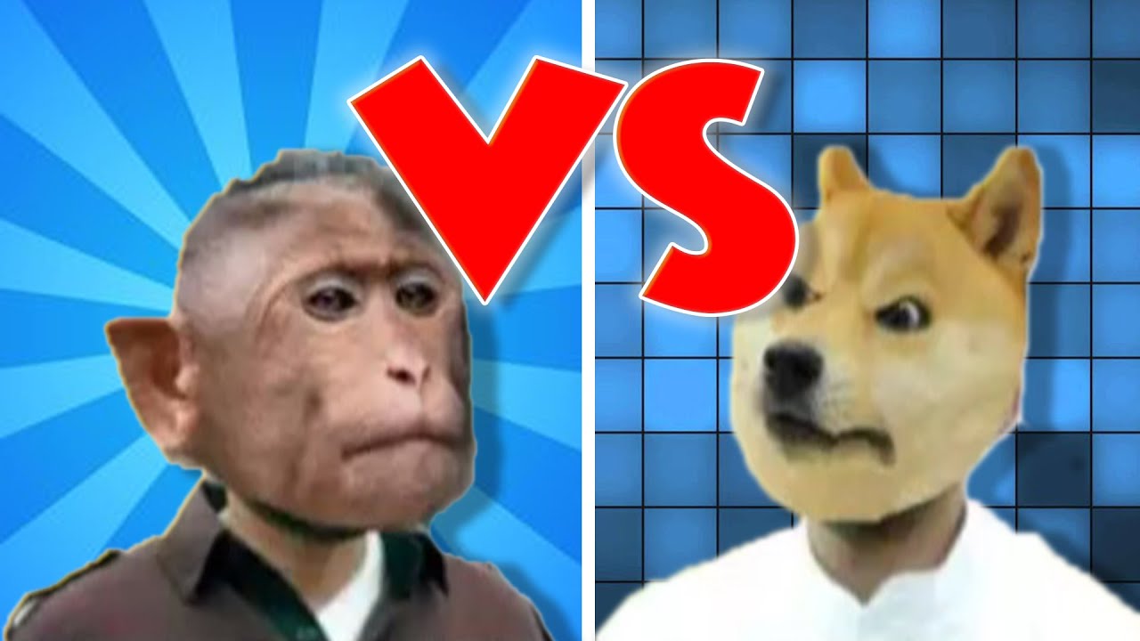 Dog versus Monkey Memes | dog vs monkey fight meme - YouTube