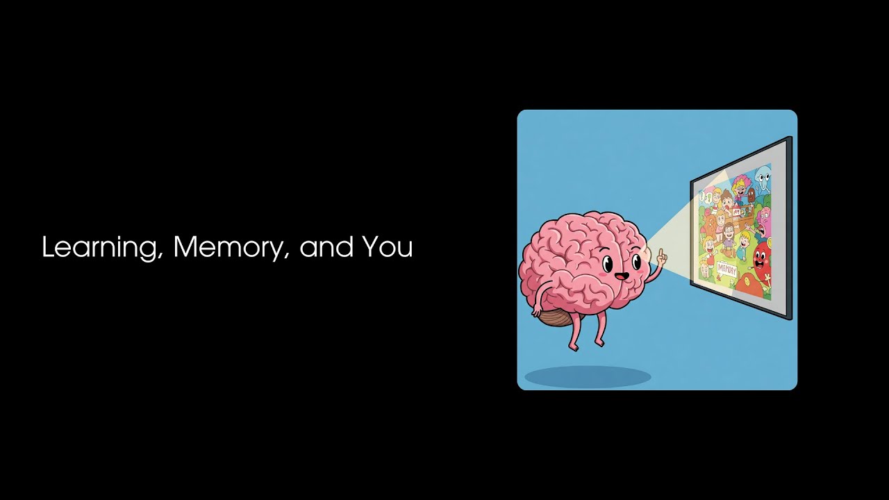 Learning, Memory, and You - Part 2 - YouTube