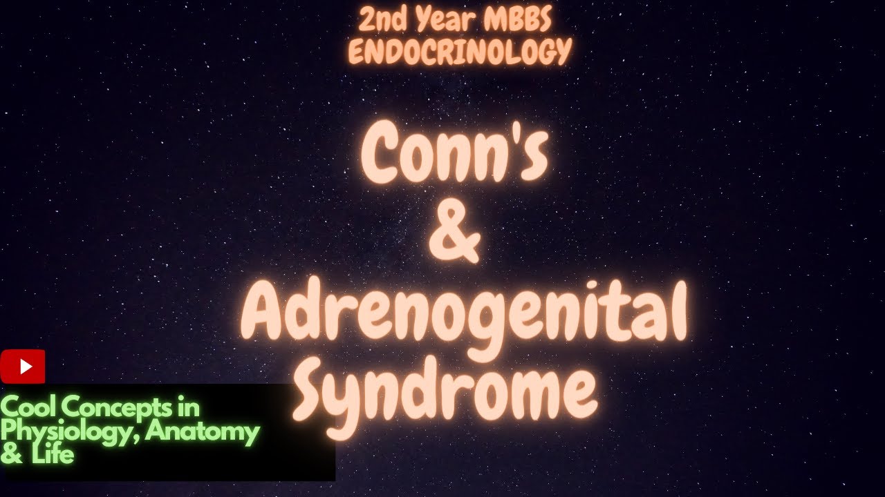 13. Endocrinology: Conn's & Adrenogenital Syndromes - 2nd year MBBS ...