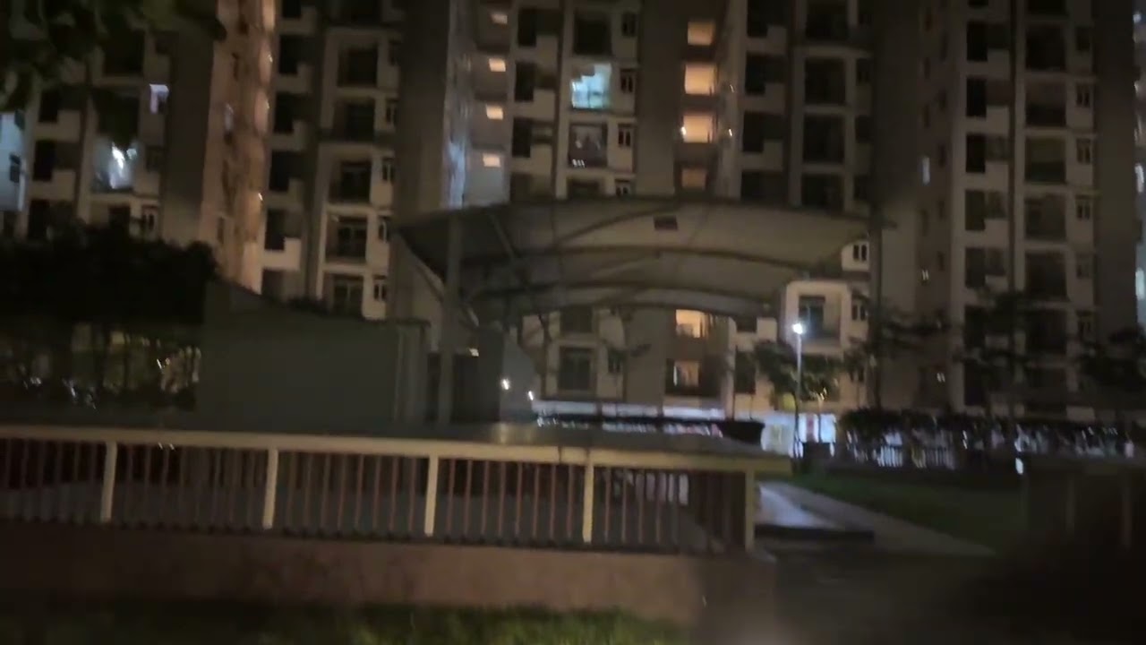 Night View of Rain Tree Park - YouTube