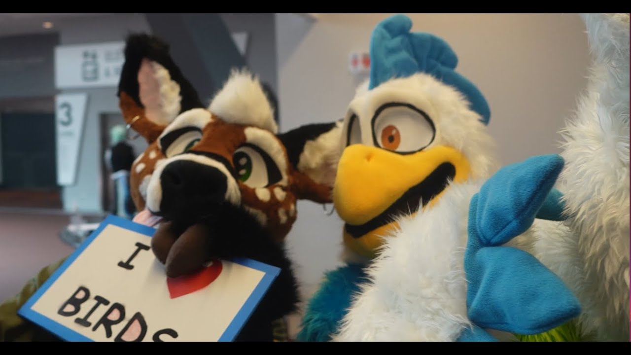 Best of Anthrocon Fursuits | Birds and Dragons, Scales and Feathers ...