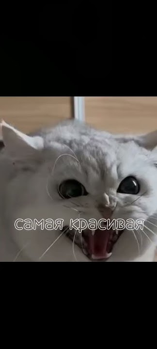напугать Youtube