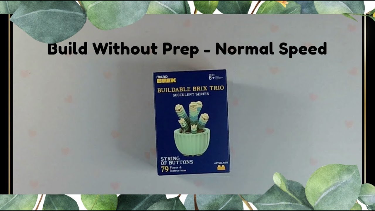 Build With Me! Micro Brix - Buildable Brix Trio - Succulent - String Of ...