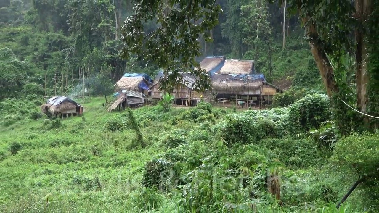 Orang Asli village, Malaysia. 20191127_133323.uhd - YouTube