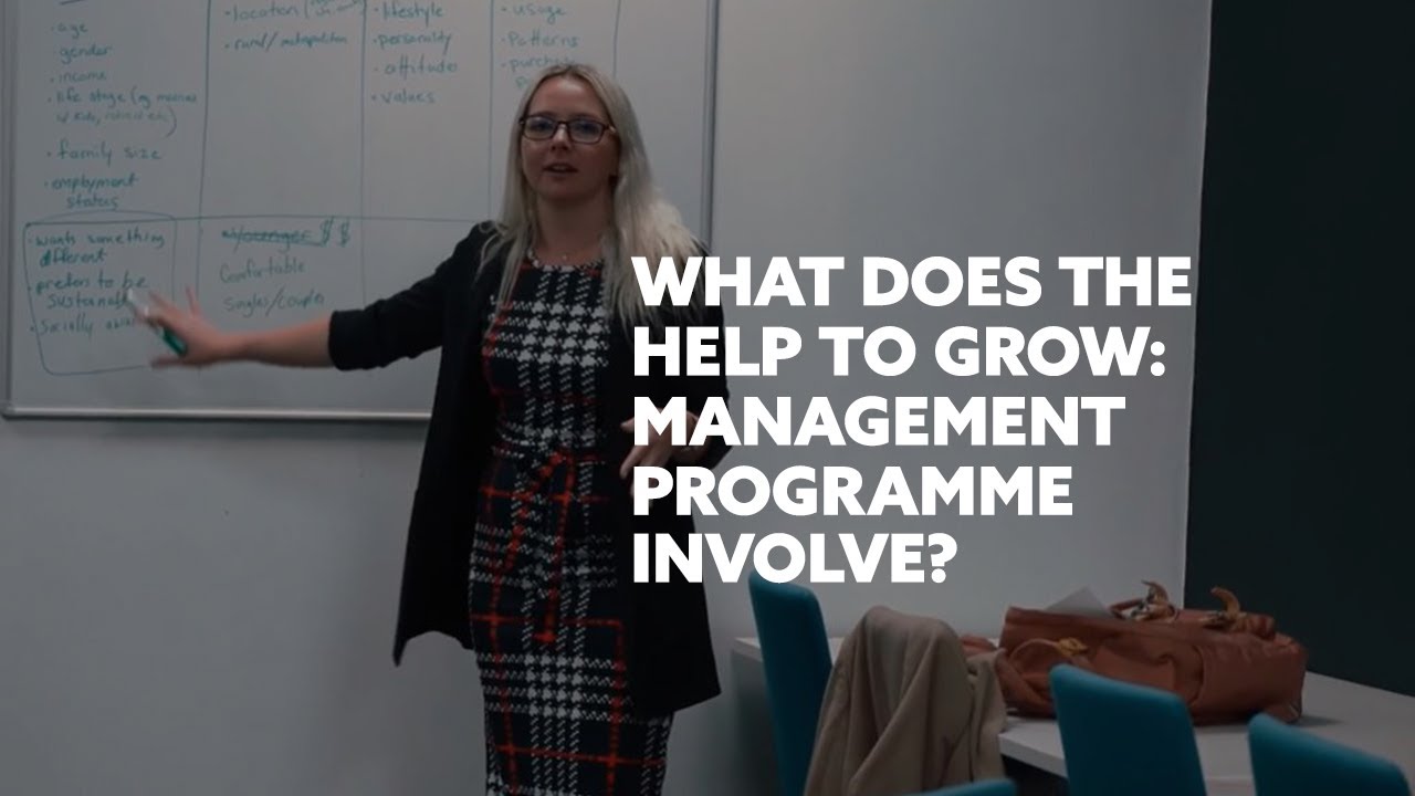 What does the Help to Grow: Management programme invlove? - YouTube