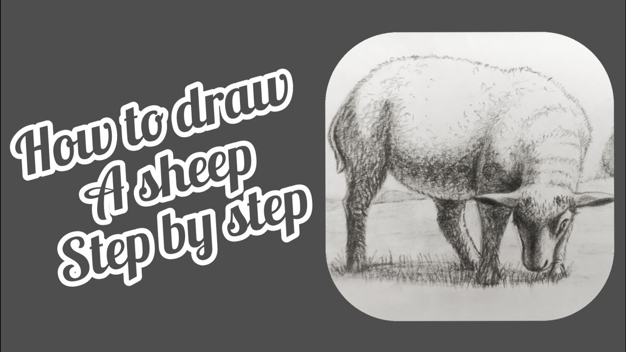 Draw a sheep step , Lesson #13( part1) - YouTube