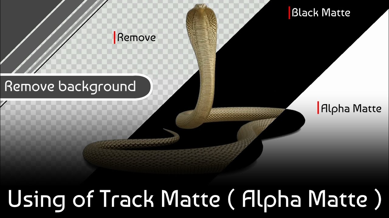 The using of Track Matte ( Alpha Matte ) | Full Editing ...