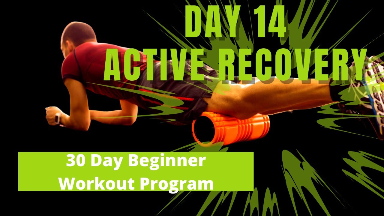 30 day Beginner Workout Program Active Recovery Routine Day 14 - YouTube