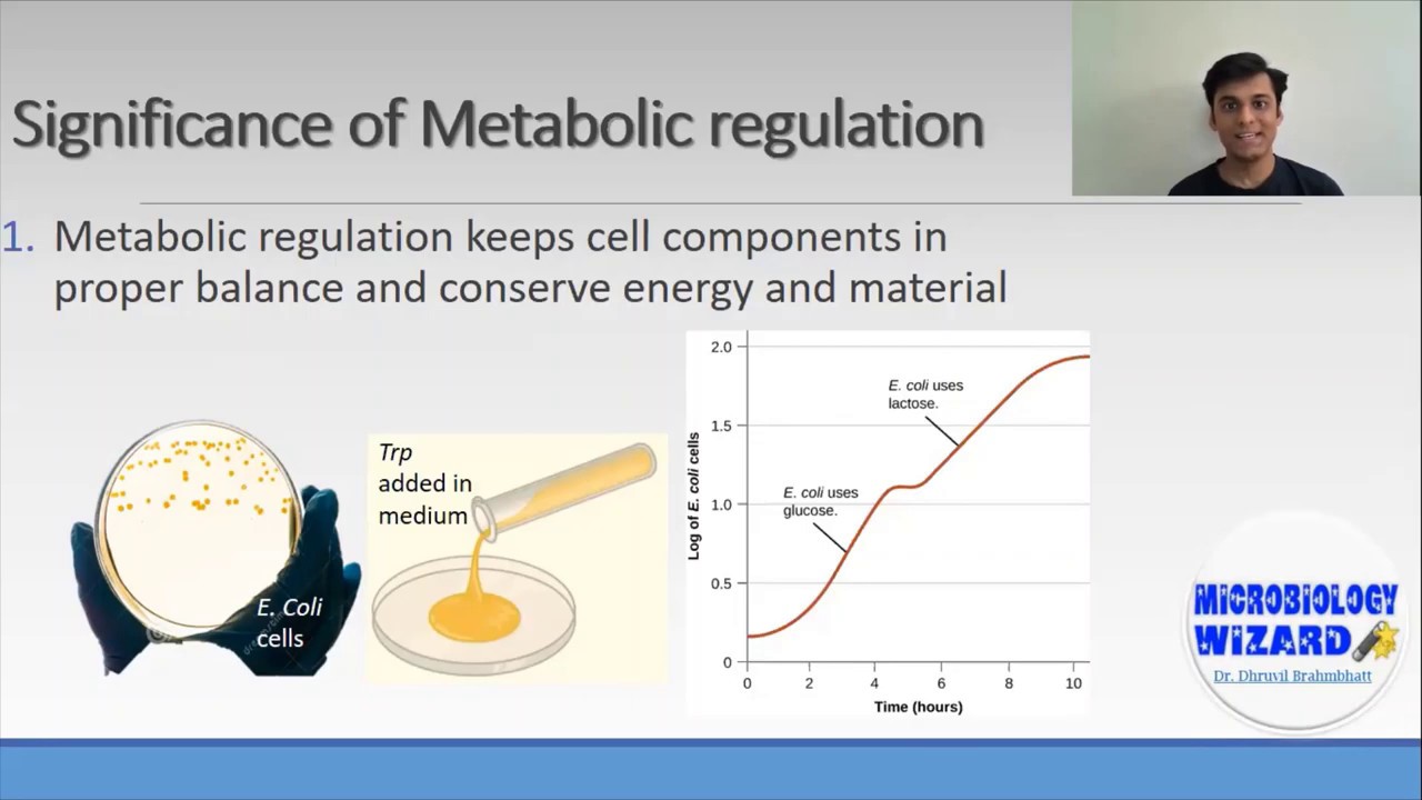 Significance of Metabolic regulation - YouTube