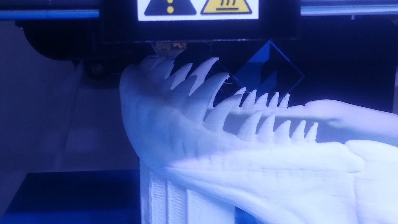 Flashforge dreamer nx 3d printing - YouTube