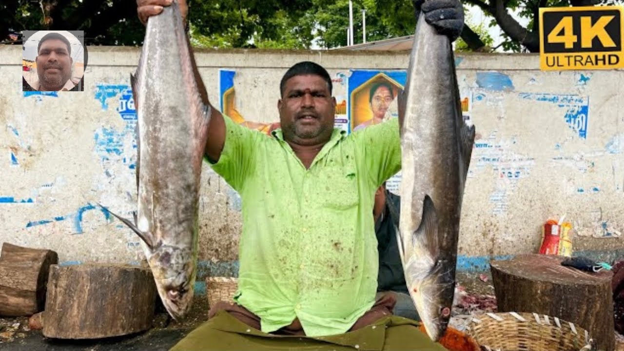 Kadora fish cutting video/fishcuttingrs#fish #fishcuttingrs #kasimedu ...