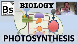 Photosynthesis | The Dr. Binocs Show | Learn Series For Kids | Safe ...