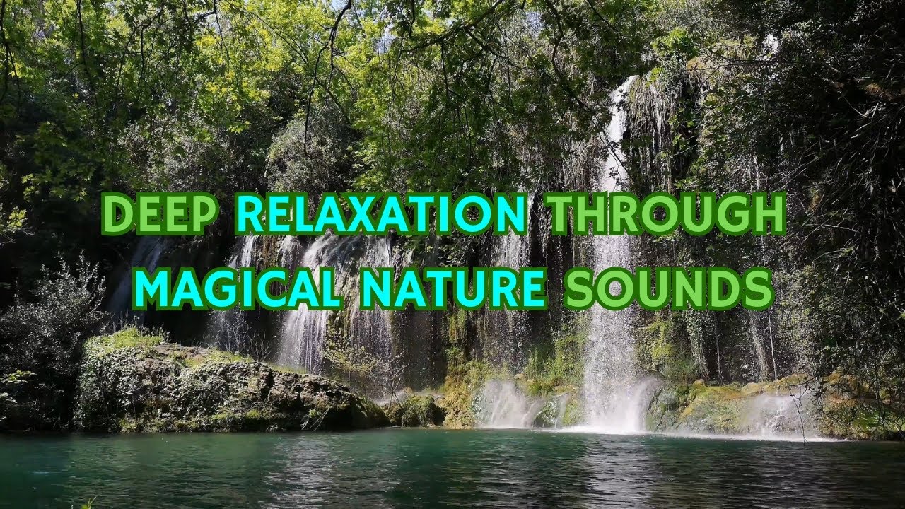 Deep relaxation through magical nature sounds | Meditation & Study ...