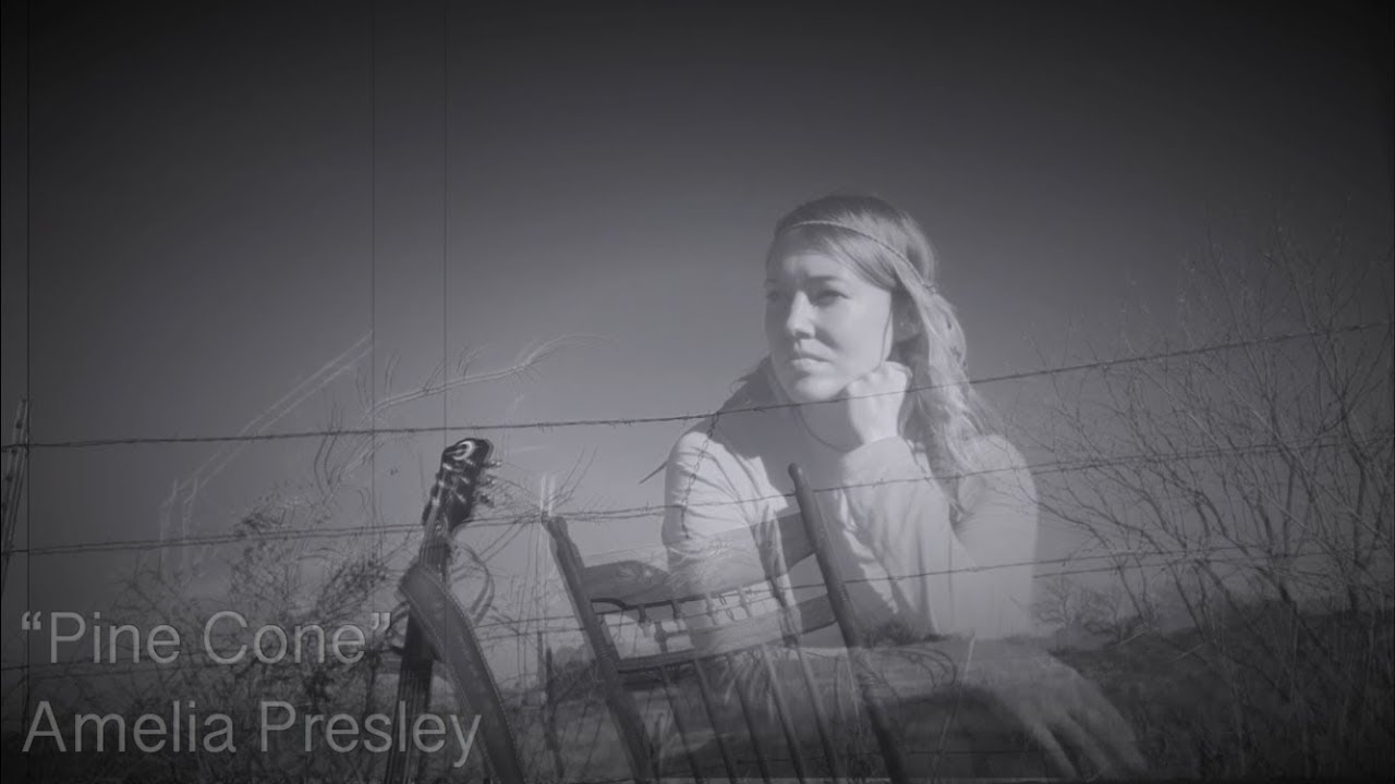 “Pine Cone” | Amelia Presley - YouTube