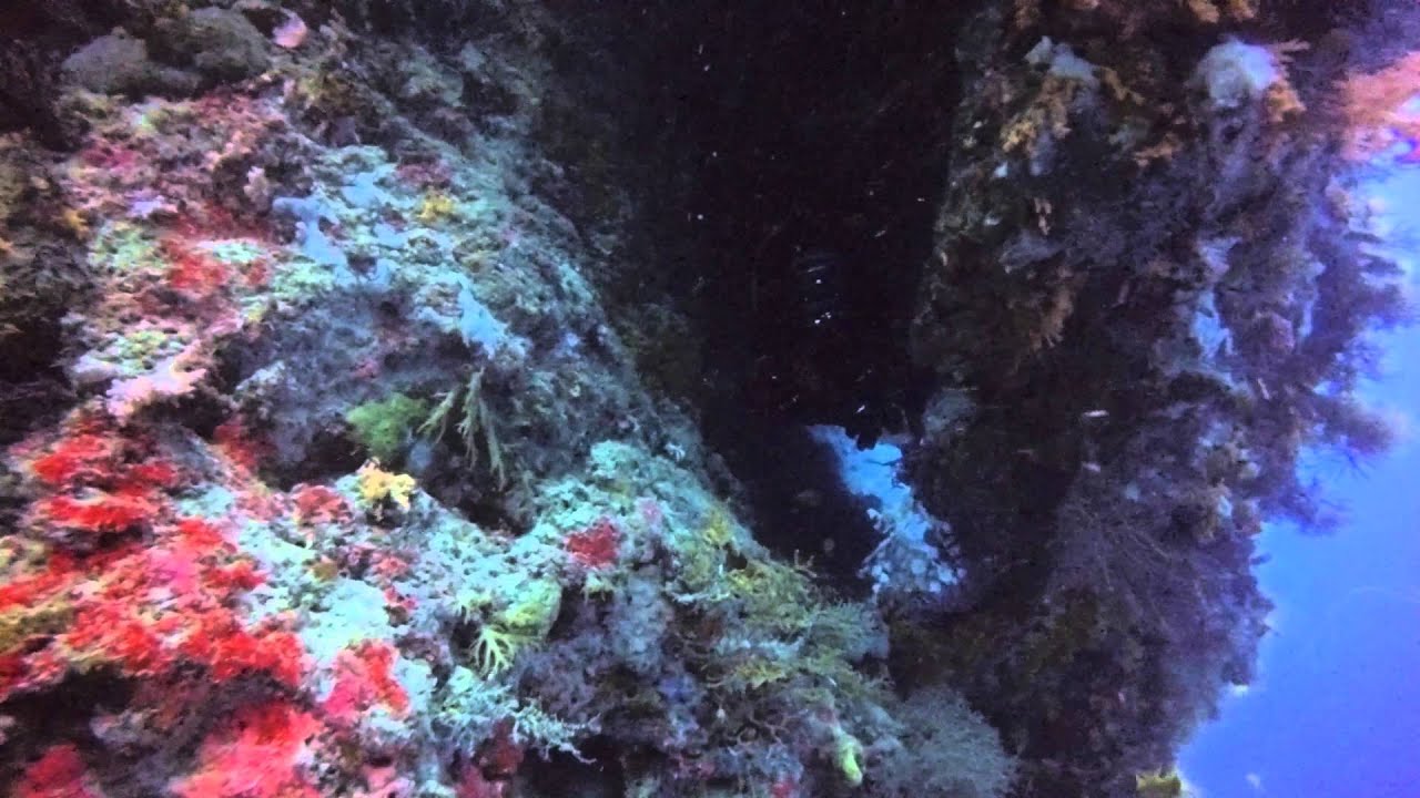 Cebu Olango Talima Diving tour - Poseidon Dive inc - YouTube