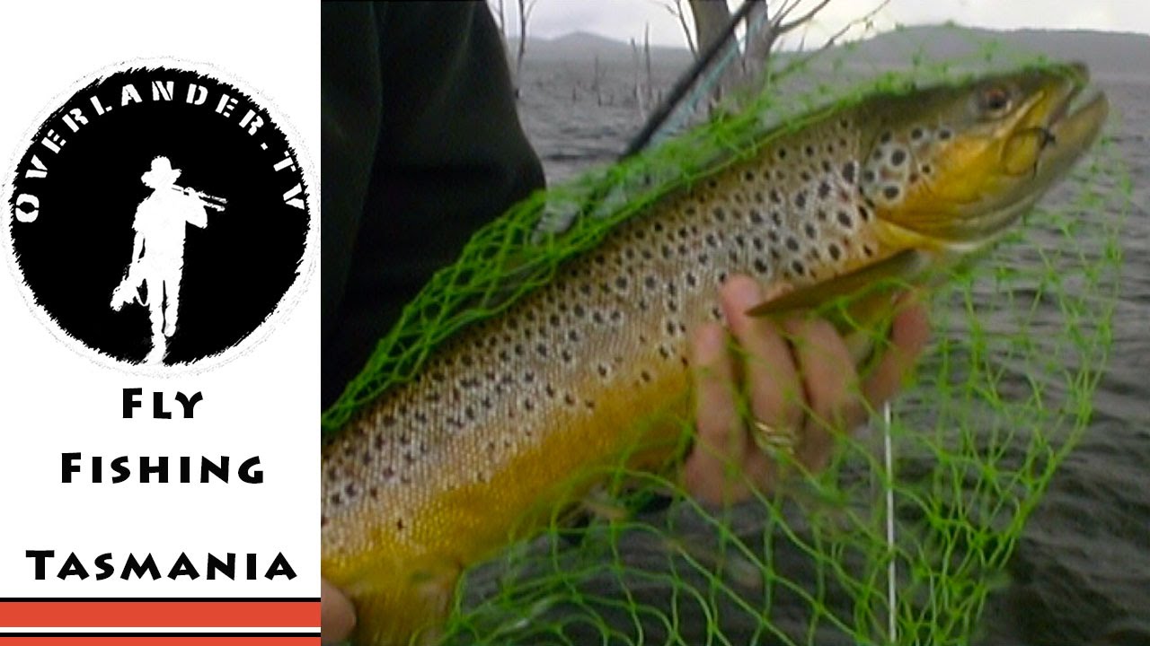 Fly Fishing Tasmania Guide HD - YouTube