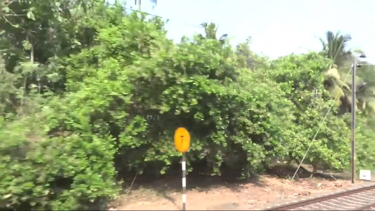 Legendary TRIVANDRUM MAIL Compilation : Kerala Backwaters Stunning ...