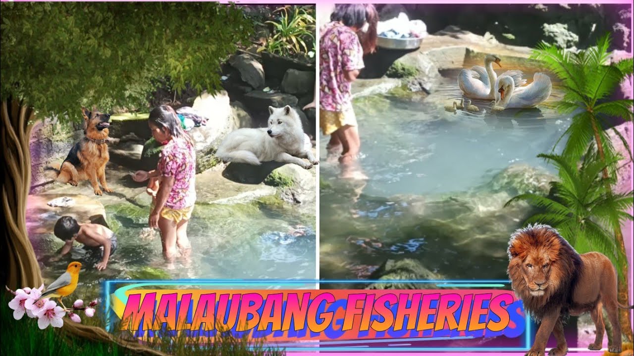 Malaubang fisheries#vlog#memories - YouTube