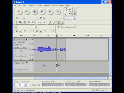 Turn off the Metadata frame in Audacity beta 1.3.10 - YouTube