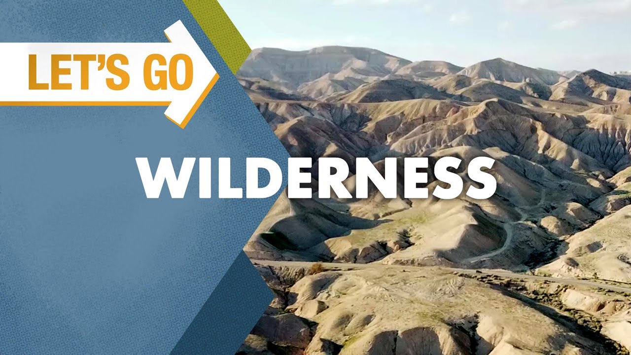 LET'S GO : The Wilderness - YouTube