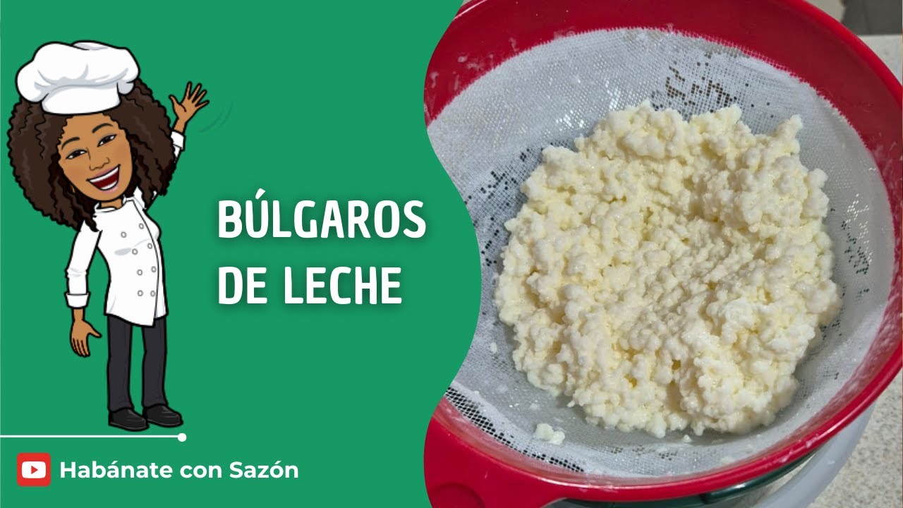 Búlgaros de Leche y Kéfir: Qué Son y Para Qué Sirven | Beneficios y ...