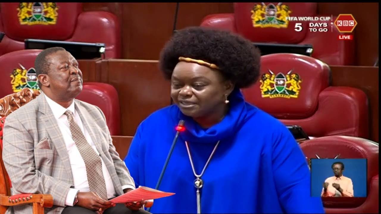 WE CAN USE GEN Z DEMOSTRATION TO BRING MORE TOURIST IN THE COUNTRY"MP ...