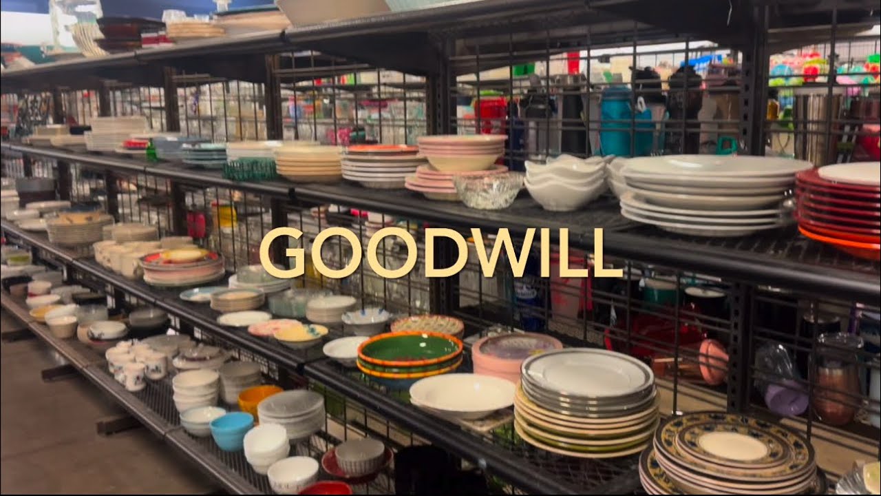 Goodwill Shopping Finds You Won’t Believe - YouTube