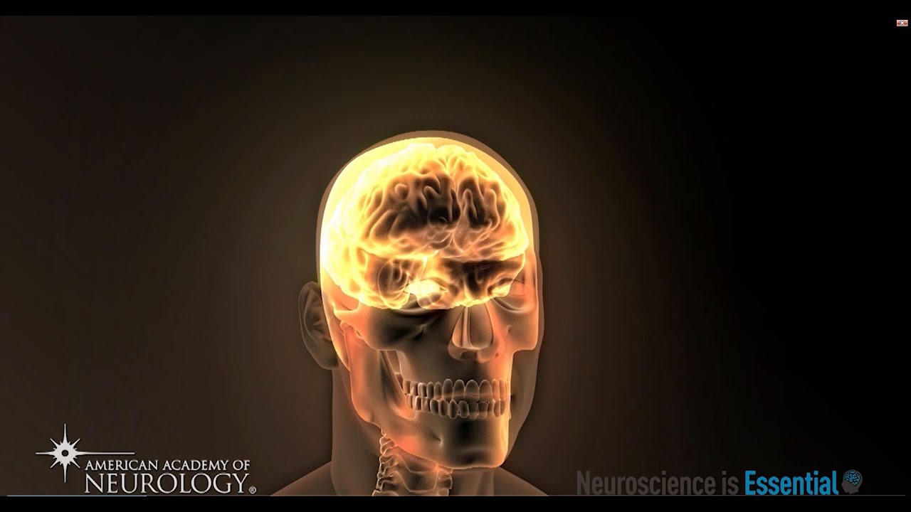 Neuroscience Is Essential American Academy Of Neurology Youtube