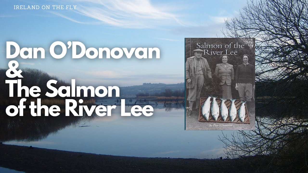 Dan O’Donovan & the Salmon of the River Lee - YouTube